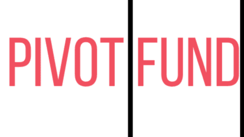 Announcing the Pivot Fund - The Wealth Edit